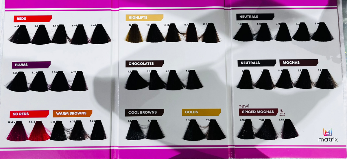 Matrix So Color Shade Card 40color – Beauty Station